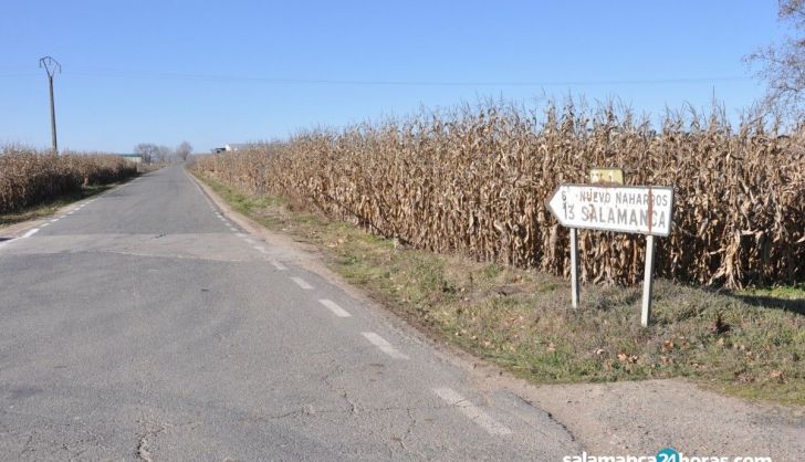 Mejora en la carretera en Nuevo Amatos Mejora en la carretera en Nuevo Amatos